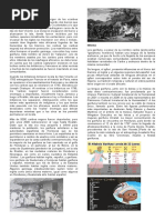 Cimarrón Bayano | PDF