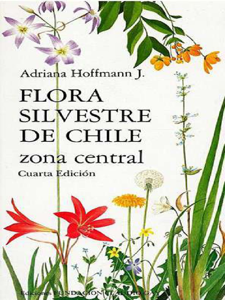 Libro Flora Silvestre Chile Central Adriana Hoffmann Andes | PDF