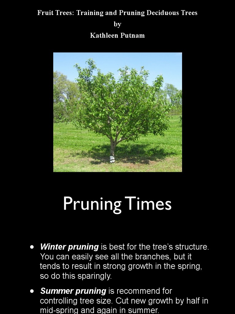Fruit Tree Pruning Guide | PDF | Pruning | Peach
