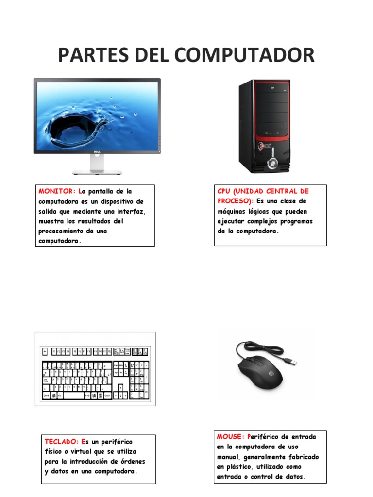 Partes Del Computador | PDF