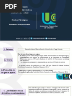 Ficha Tecnica BANFE-2 | PDF | Funciones ejecutivas | Corteza prefrontal