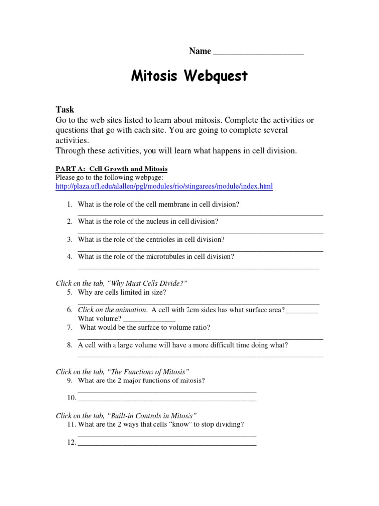 Cell Cycle Webquest - PDF NEW | PDF | Mitosis | Cell Biology