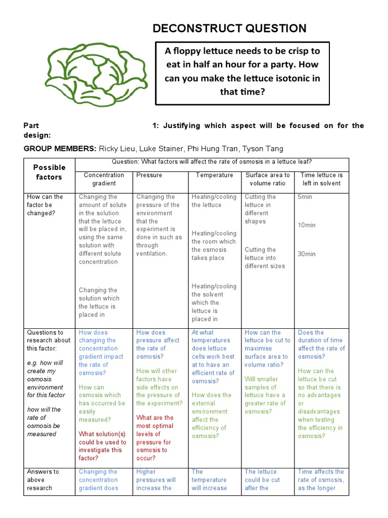 Luke Stainer Osmosis DECONSTRUCT-2 | PDF | Osmosis | Experiment