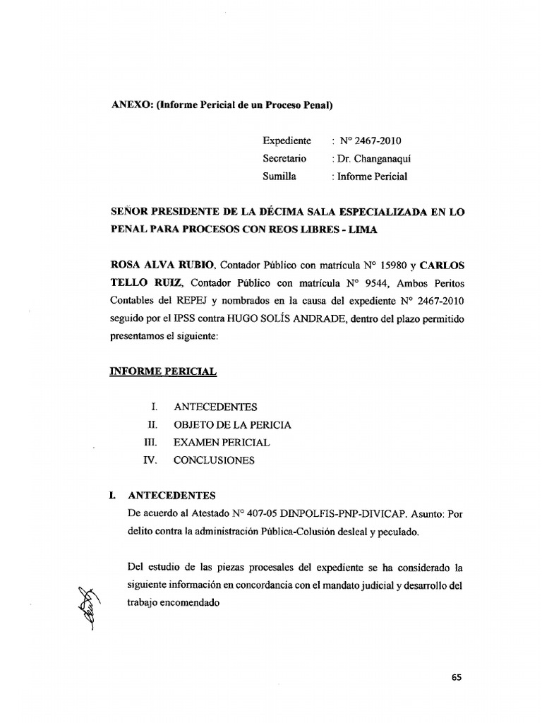 Ejemplo de Informe Pericial | PDF | Outsourcing | Bienestar Ejemplo de Informe Pericial | PDF | Outsourcing | Bienestar