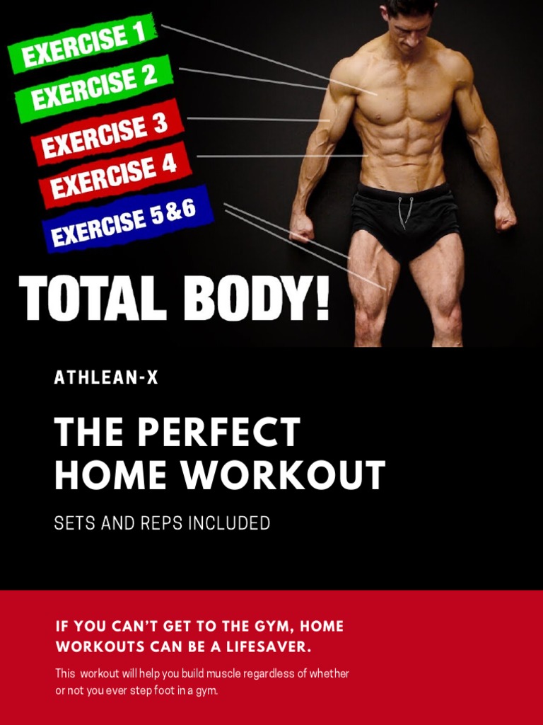 The Perfect at Home Workout | PDF | Knee | Human Anatomy
