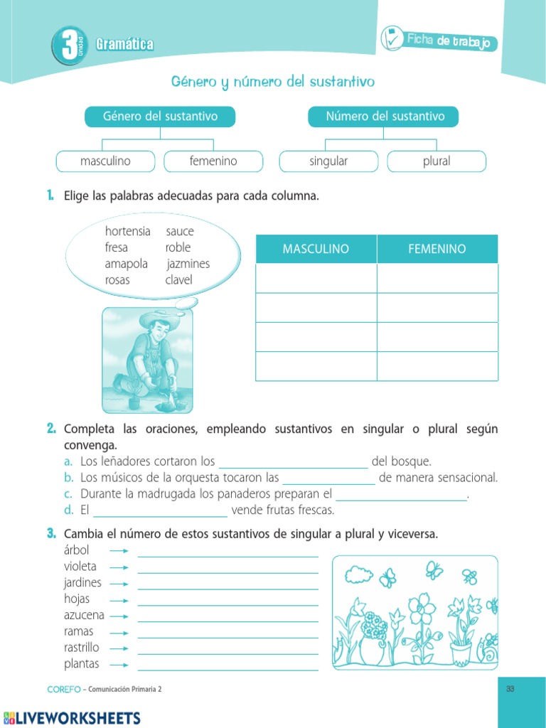 Ficha de trabajo: Género y número del sustantivo | PDF | Gramática ...
