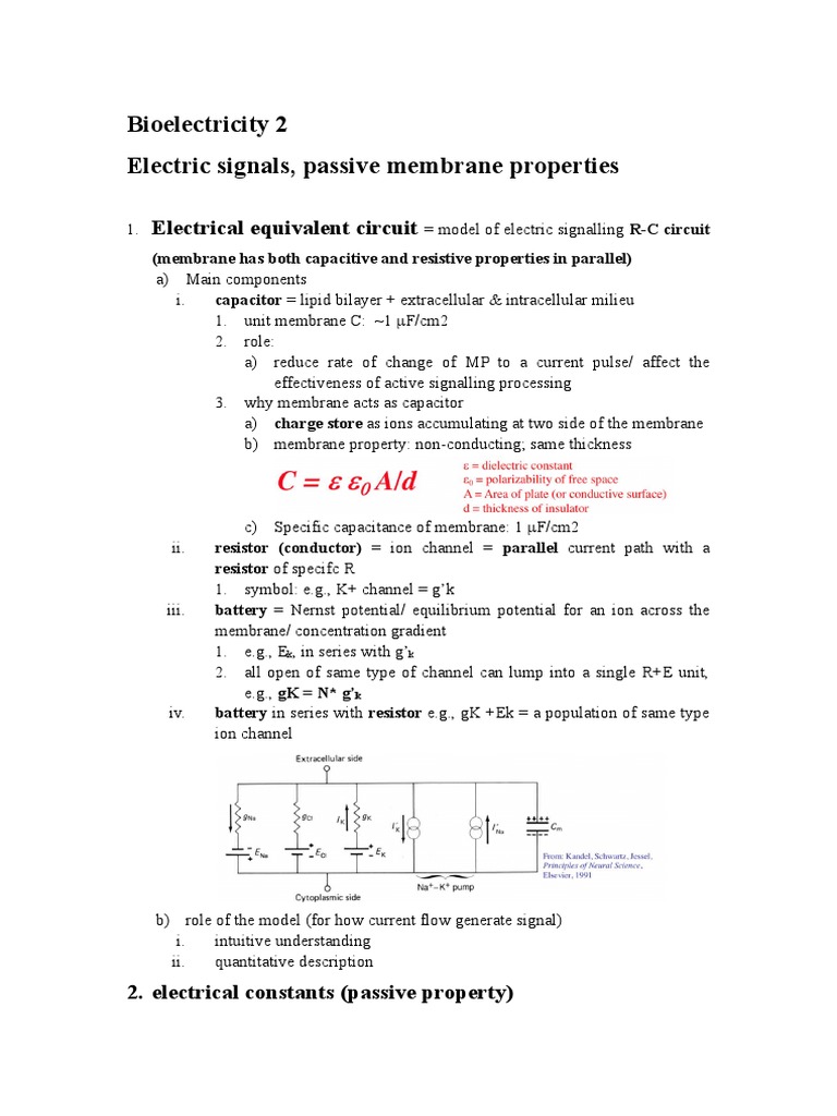 Bioelectricity 2 Electric Signals, Passive Membrane Properties | PDF ...