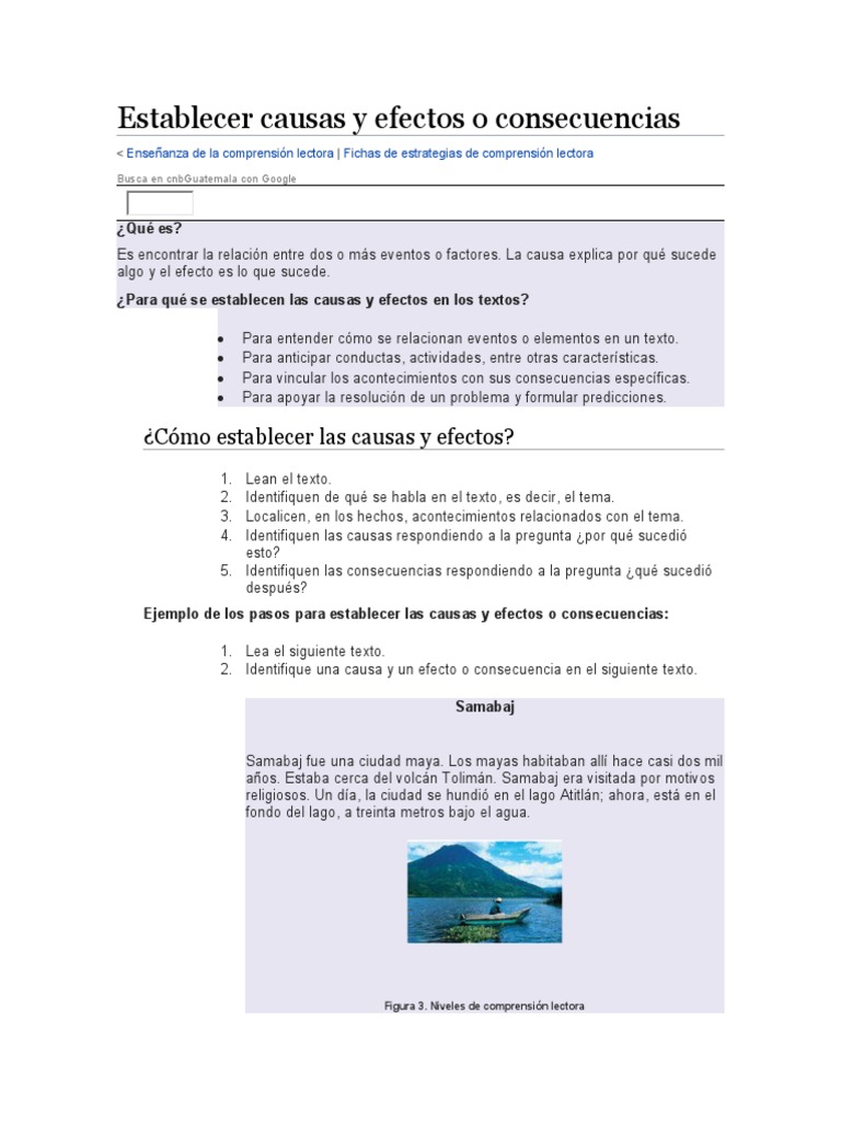Estrategias de Comprension Lectoraestablecer Causas y Efectos o ...