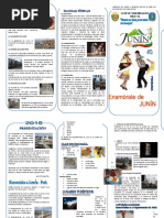 Triptico de Pasco | PDF | Alimentos | Naturaleza