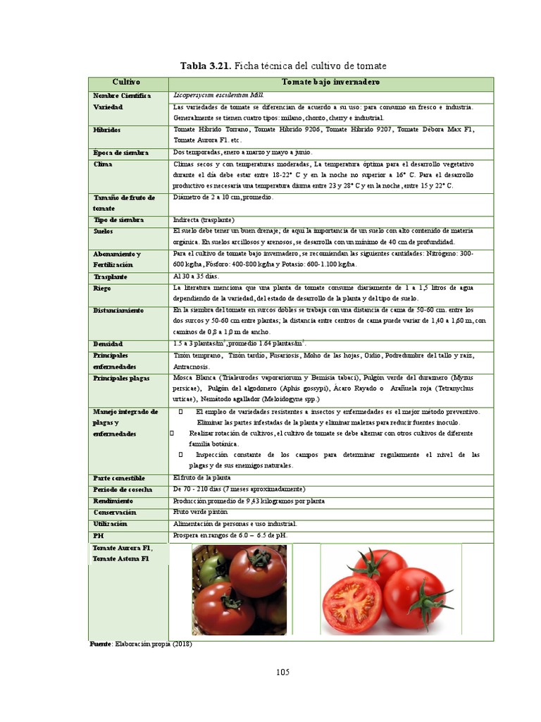 Ficha Tecnica Del Tomate | PDF | Tomate | Suelo