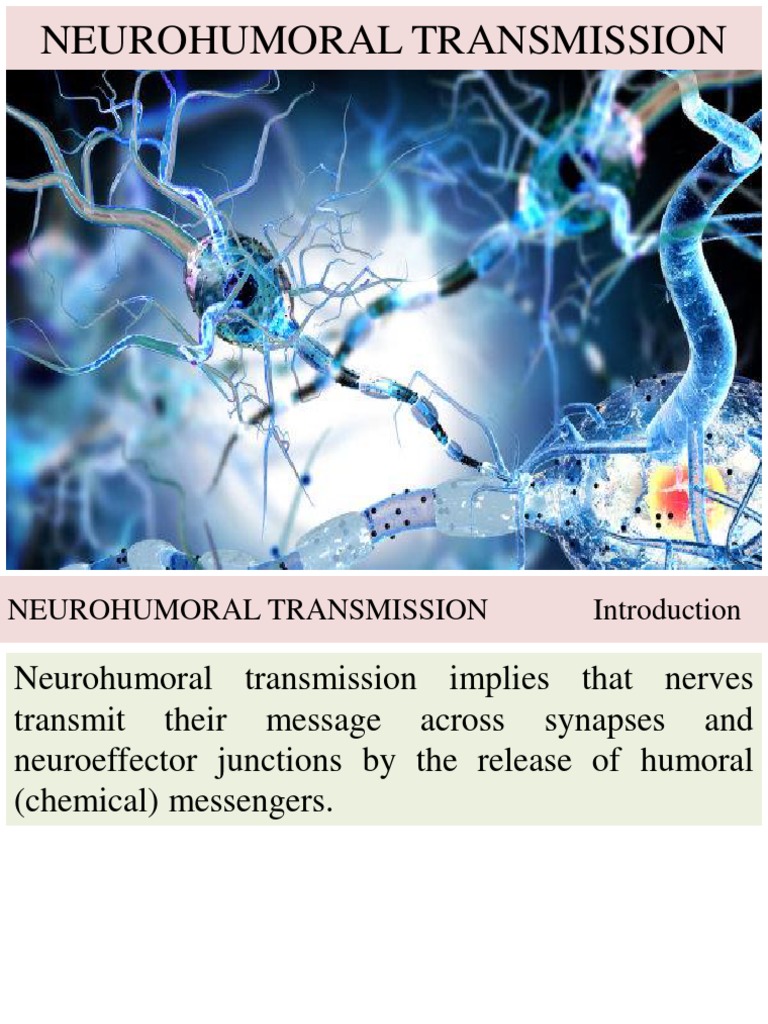 Neurohumoral Transmission | PDF | Inhibitory Postsynaptic Potential ...