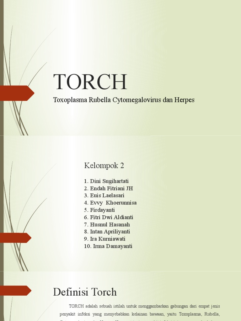 Torch | PDF