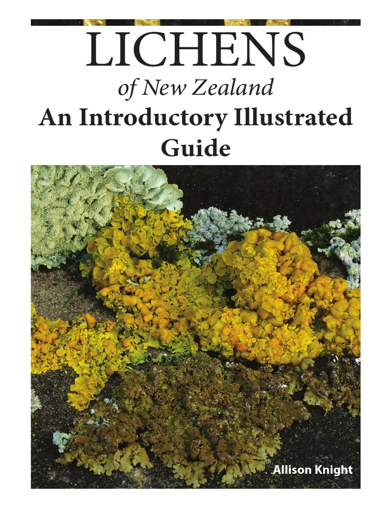 Lichens of New Zealand An Introductory Illustrated Guide | PDF | Fungus ...