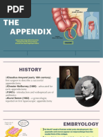 Appendicitis: Anatomy, Diagnosis, and Management | PDF | Medical ...