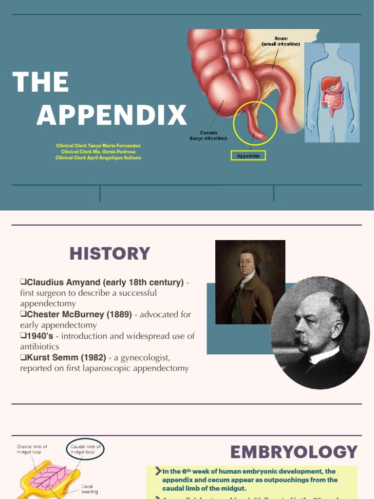 The Appendix Final | PDF | Medical Specialties | Clinical Medicine