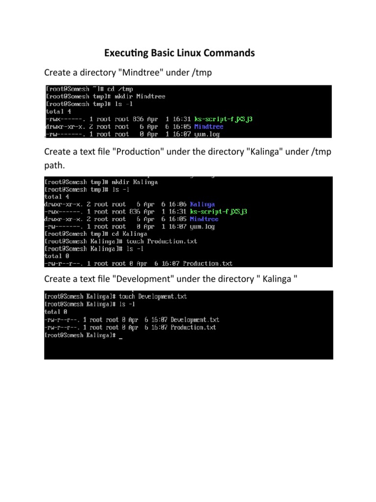 Linux Assignment | PDF | Computer File | Data