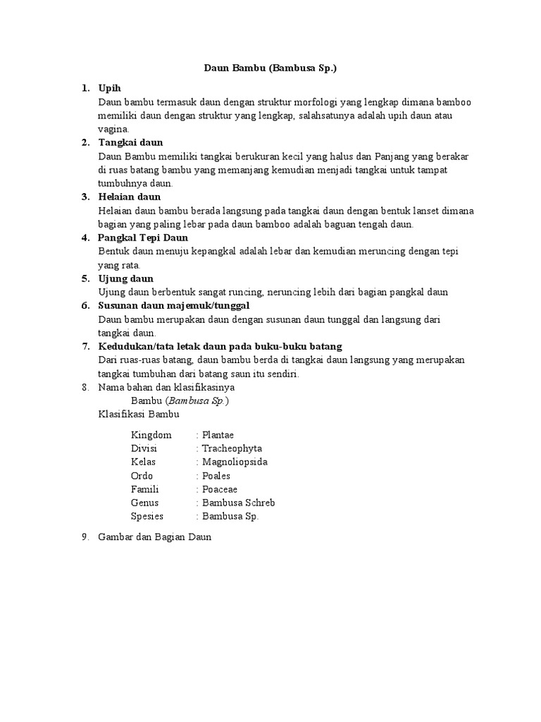 MORFOLOGI DAN STRUKTUR DAUN BAMBU DAN PACING TAWAR | PDF