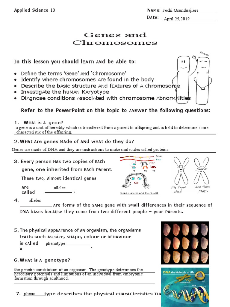 Genes and Chromosomes: in This Lesson You Should L RN Dbe Ble To | PDF ...