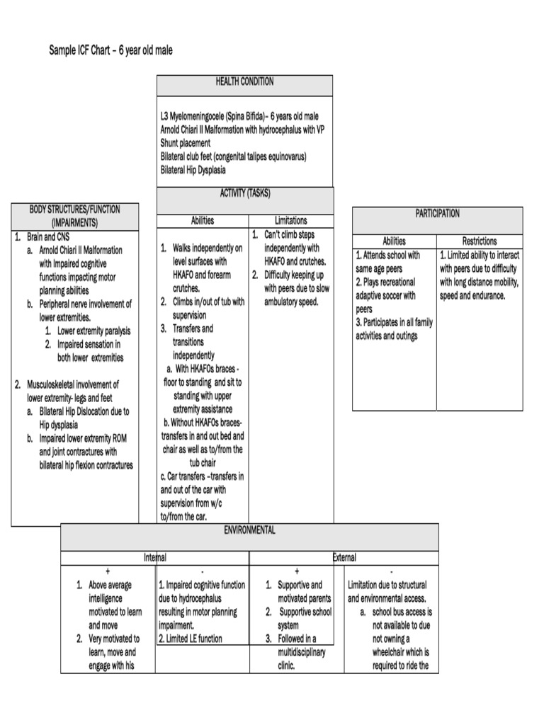 Sample ICF Chart - 6 Year Old Male | PDF | Physical Therapy | Mentorship