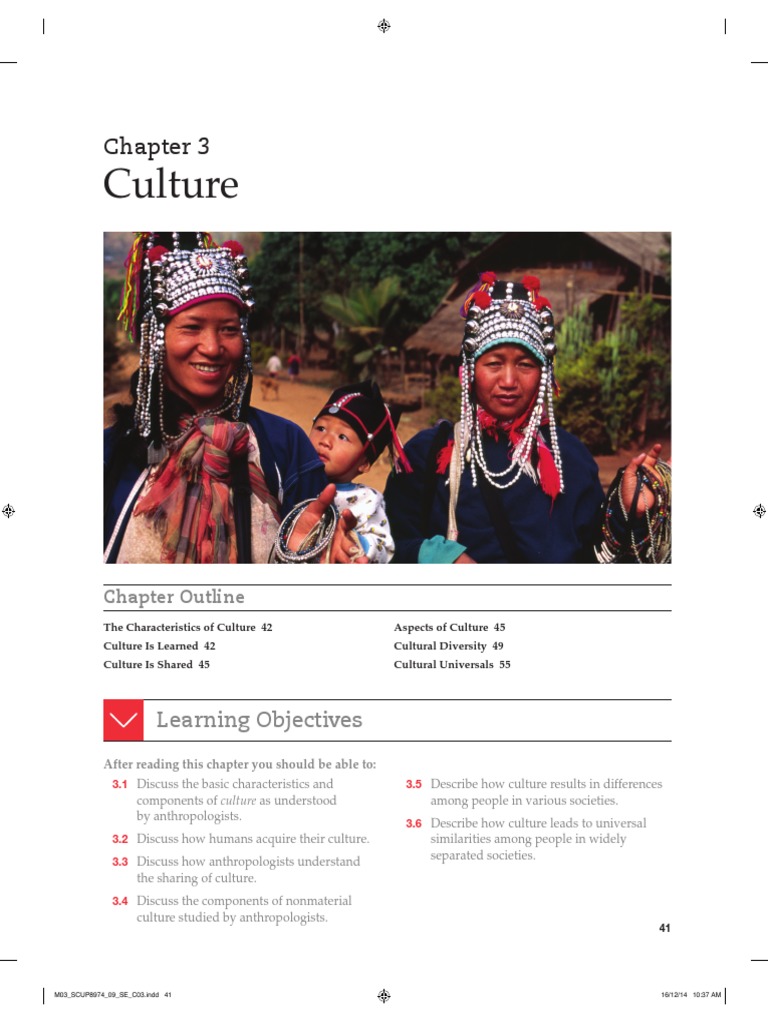 Scupin Chapter 3 Culture From Cultural A | PDF | Anthropology | Human
