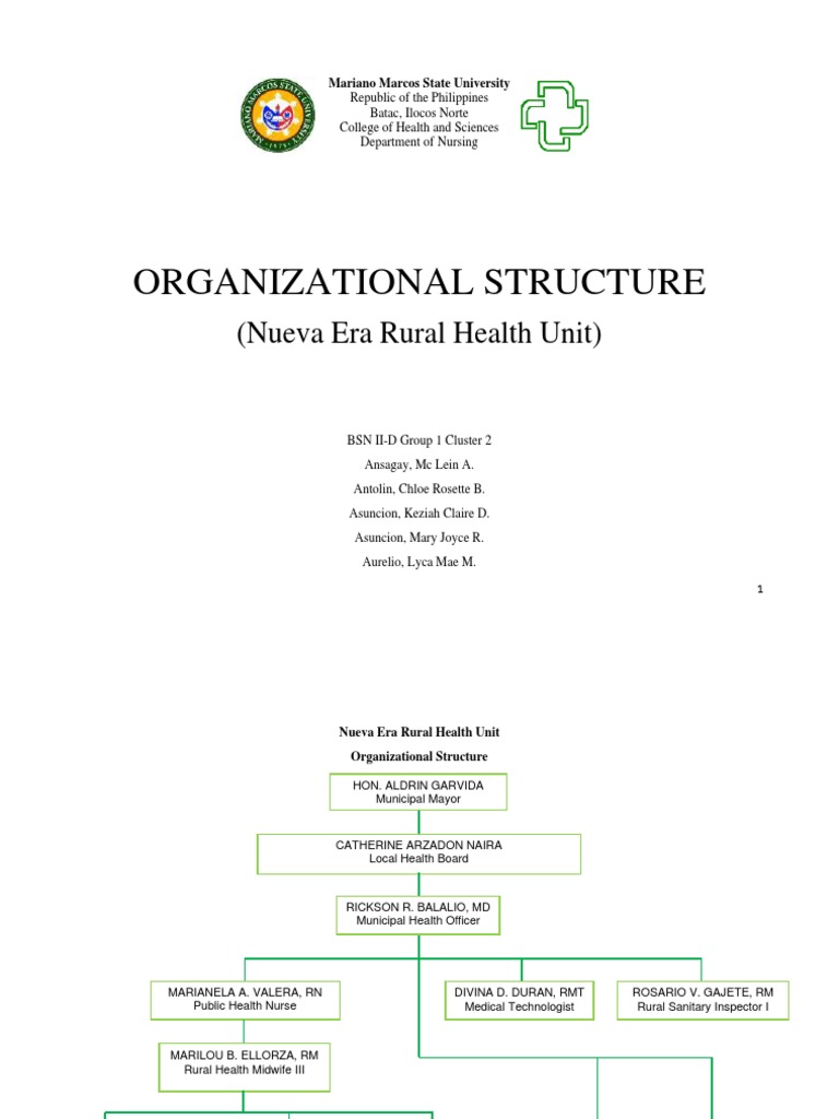 RHU Org. Structure With Analysis | PDF | Nursing | Midwife