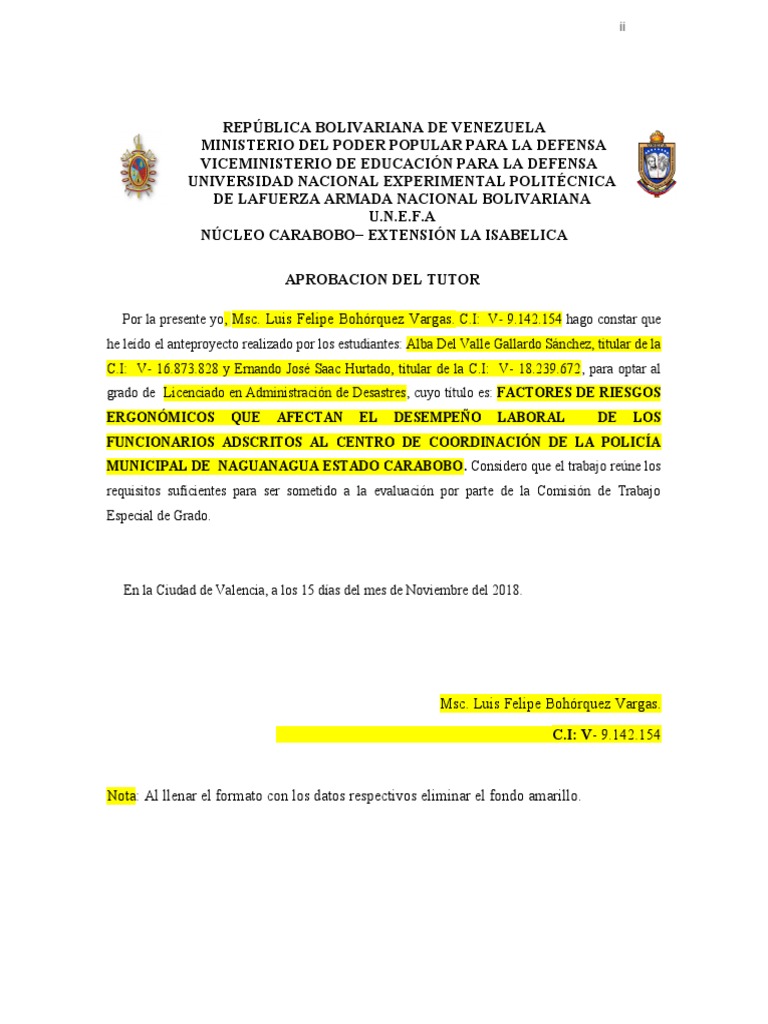 Aprobación Del Tutor (Modelo) | PDF