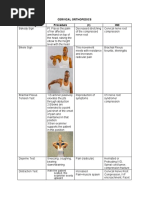 Alfredson Heel Drop Protocol | PDF | Soft Tissue | Limbs (Anatomy)