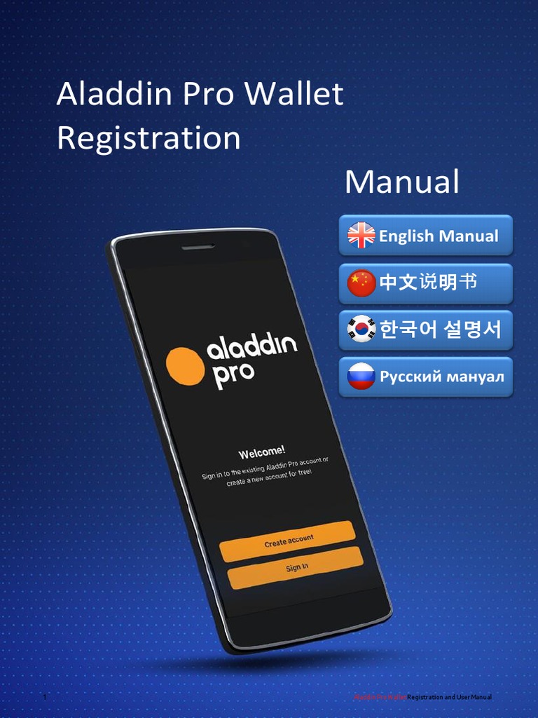 Aladdin Pro - Registration Manual | PDF | Password | Computer Mediated ...