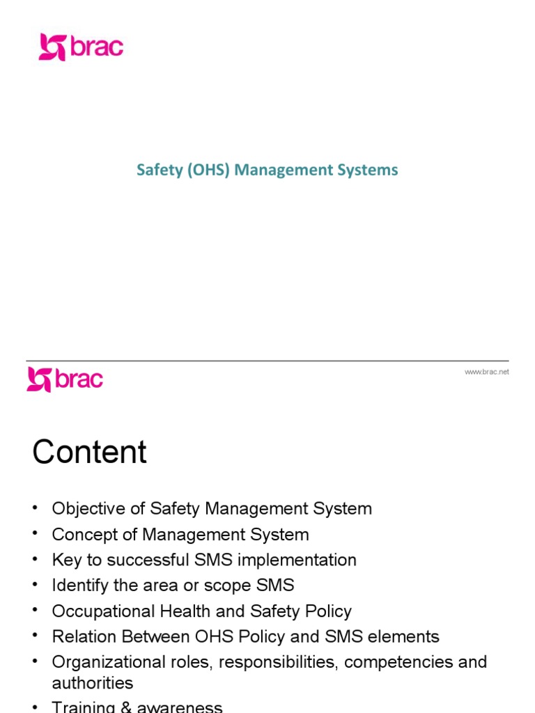 Plan SMS | PDF | Occupational Safety And Health | Risk Assessment
