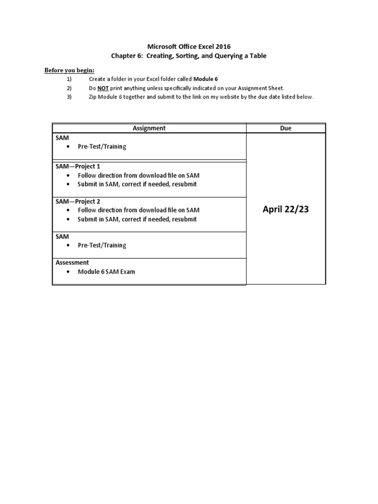 Excel Module 6 Assignment Sheet | PDF