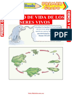 Ciclo de Vida de los Animales para Niños | PDF