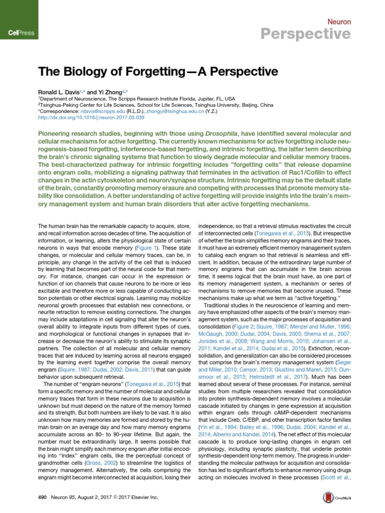 Davis 2017 Biology of Forgetting | PDF | Memory | Recall (Memory)