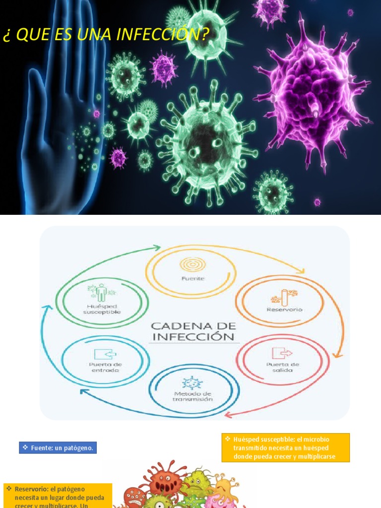 Cadena de Infeccion | PDF