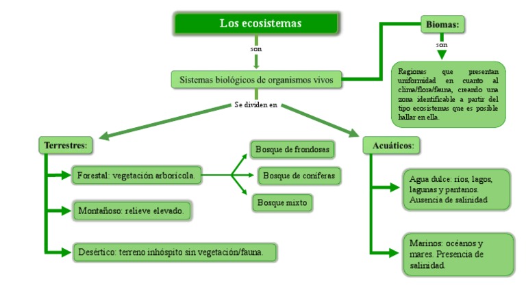 Esquema de Tipos de Ecosistemas | PDF