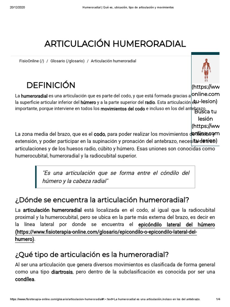 La articulación humeroradial: descripción, ubicación y funciones | PDF ...