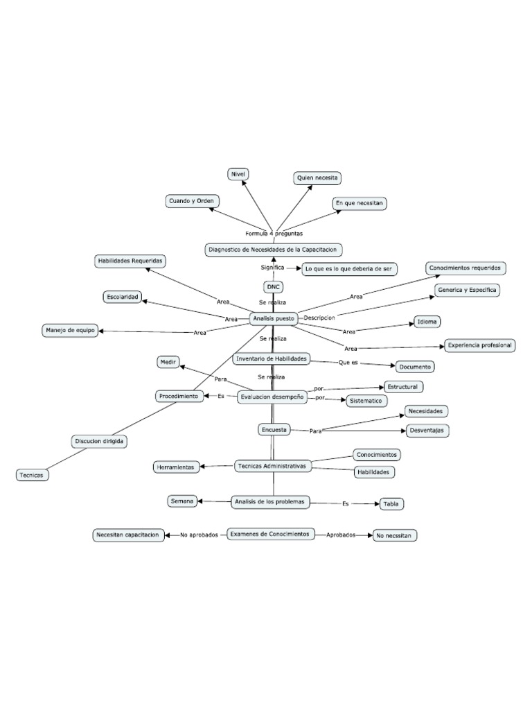 DNC Mapa Mental | PDF