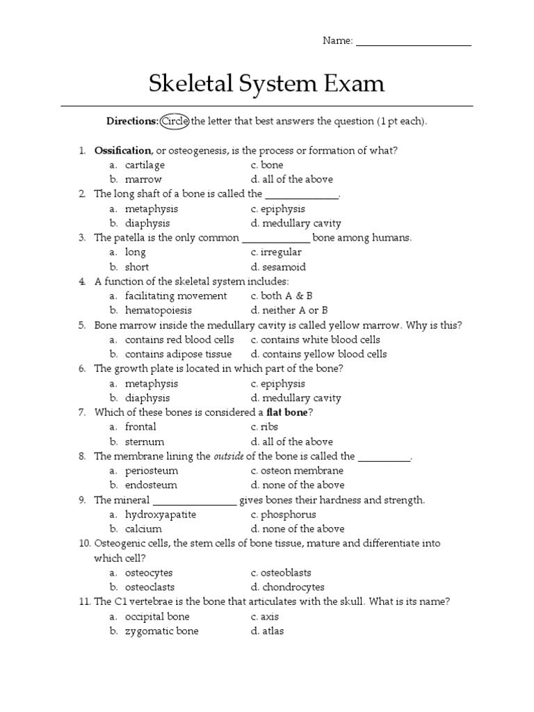 Skeletal System Exam | PDF | Osteoblast | Bone