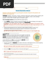 Virus Student Worksheet Answer Key | PDF | Virus | Adenoviridae