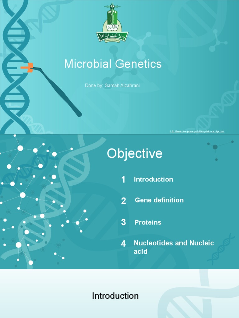 Microbial Genetics Done By Samah Alzahrani Download Free Pdf Dna