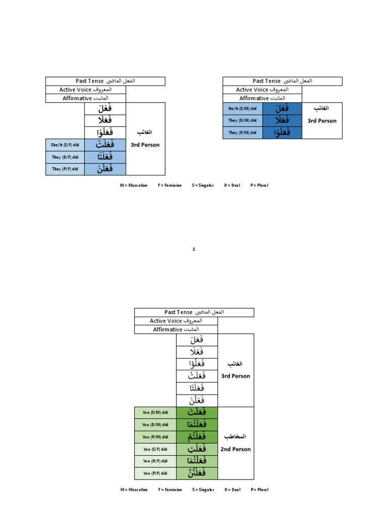 Sarf Lessons Yr1 | PDF | Grammatical Number | Plural