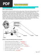 Evidence of Evolution Answer Key | PDF | Anatomy | Organisms