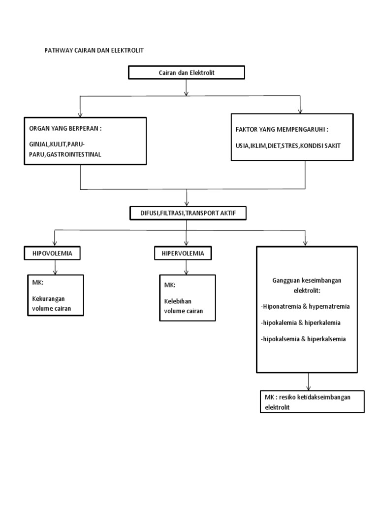 Pathway Keseimbangan Cairan dan Elektrolit | PDF