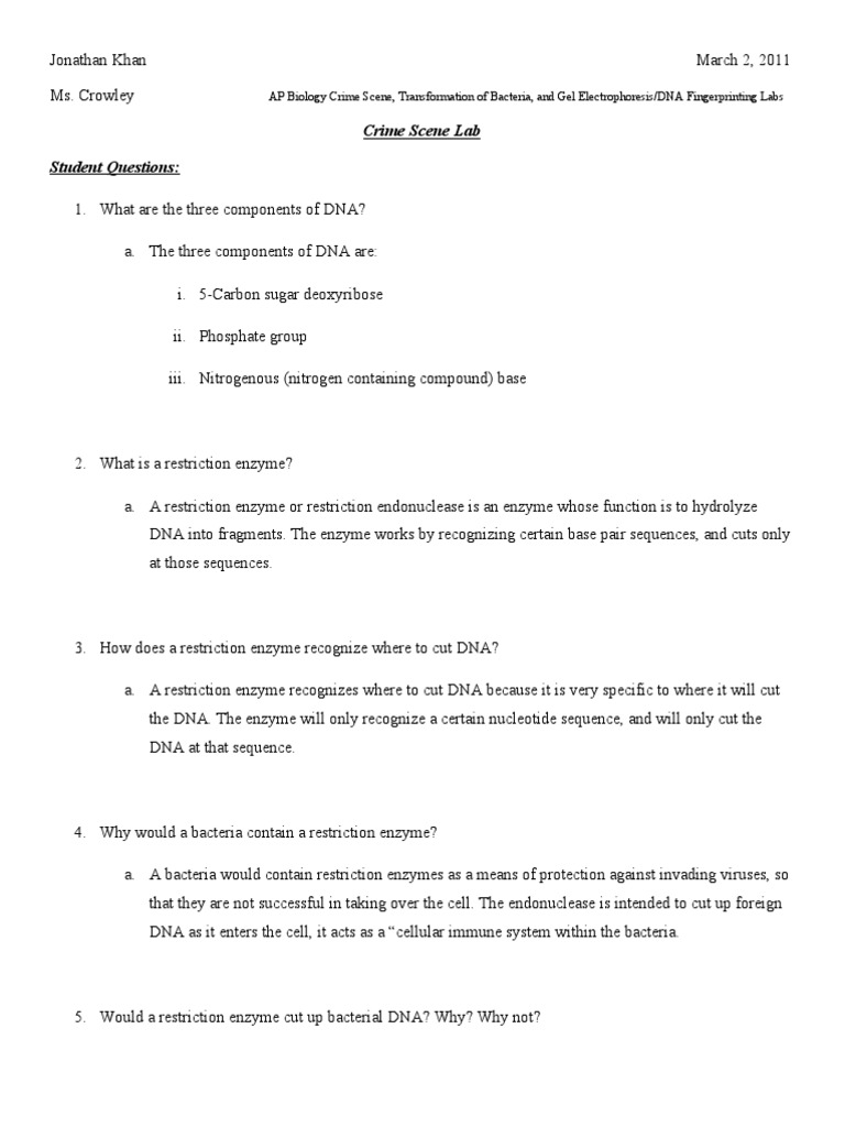 AP Bio Gel Electrophoresis & Transformation Lab | PDF | Transformation ...