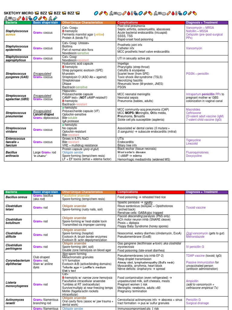 BZZ BZZ BZZ: Sketchy Micro | PDF | Streptococcus | Gram Negative Bacteria