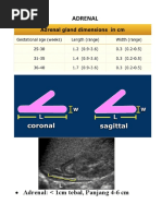 ULTRASOUND Abdomen Normal Measurements | PDF | Gallbladder | Fetus