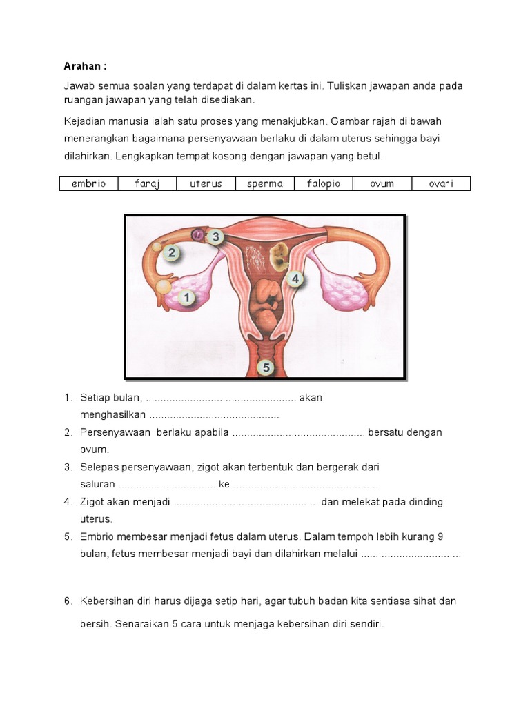 Soalan PK T5 2021 | PDF | Karier & Perkembangan | Pengembangan Diri