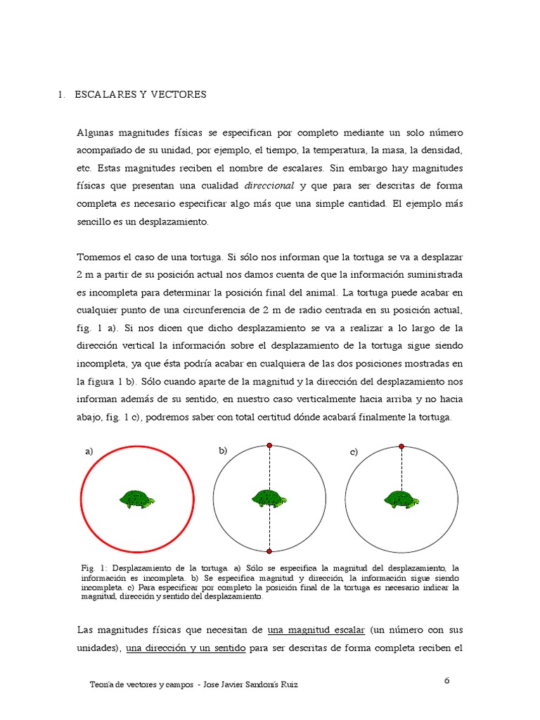 Introducción a Vectores y Escalares | PDF | Vector Euclidiano | Escalar ...