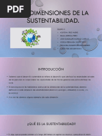 Dimensiones de La Sustentabilidad | PDF | Sustentabilidad | Desarrollo sostenible