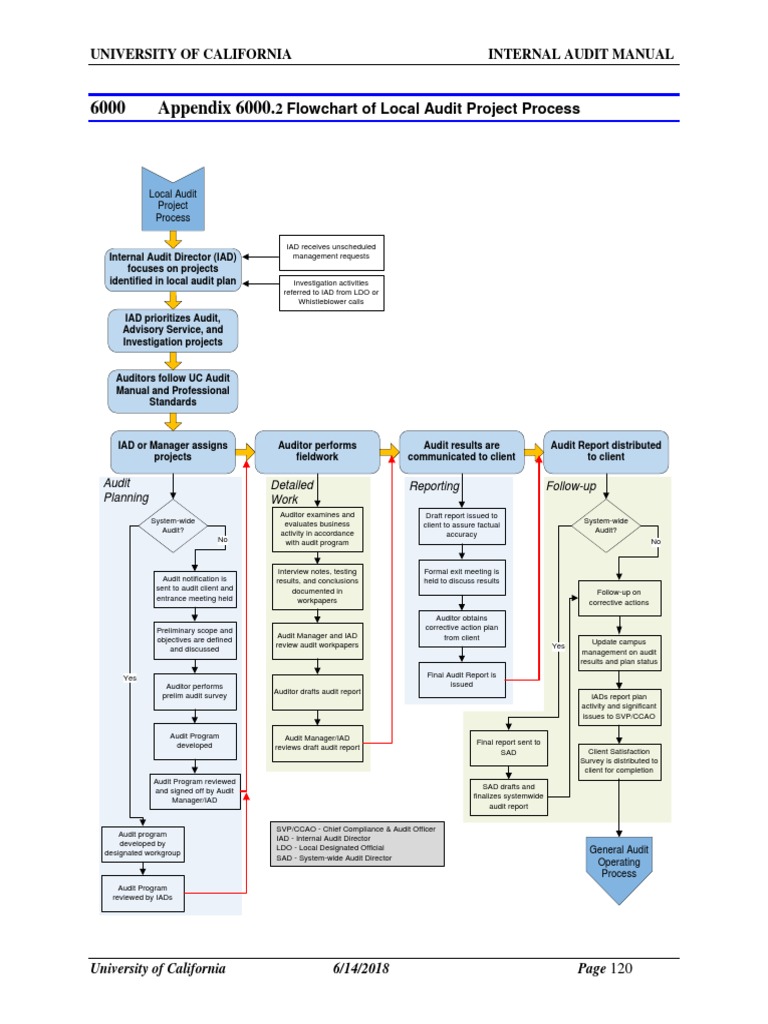 6000 Appendix 6000.: 2 Flowchart of Local Audit Project Process | PDF ...