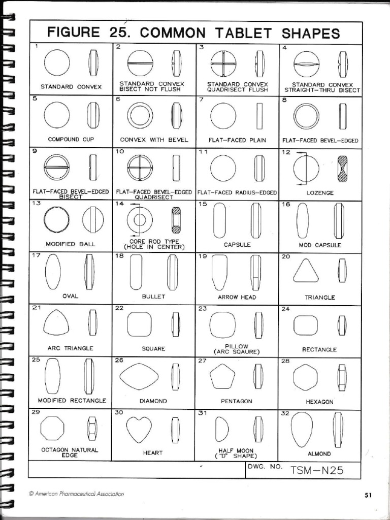 Common Tablet Shapes Overview | PDF | Space | Euclidean Plane Geometry